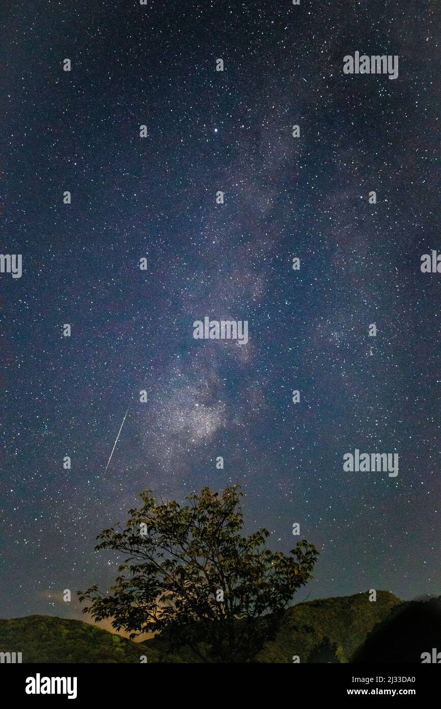 A vertical shot of the beautiful Milky Way galaxy in the starry night ...