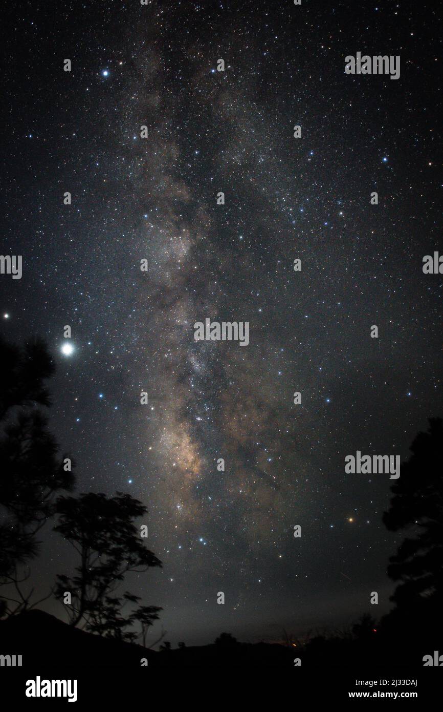 A vertical shot of the beautiful Milky Way galaxy in the starry night ...