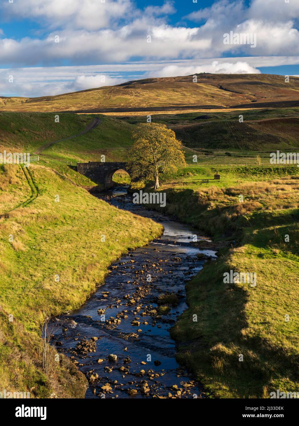 Tibbies hi-res stock photography and images - Alamy