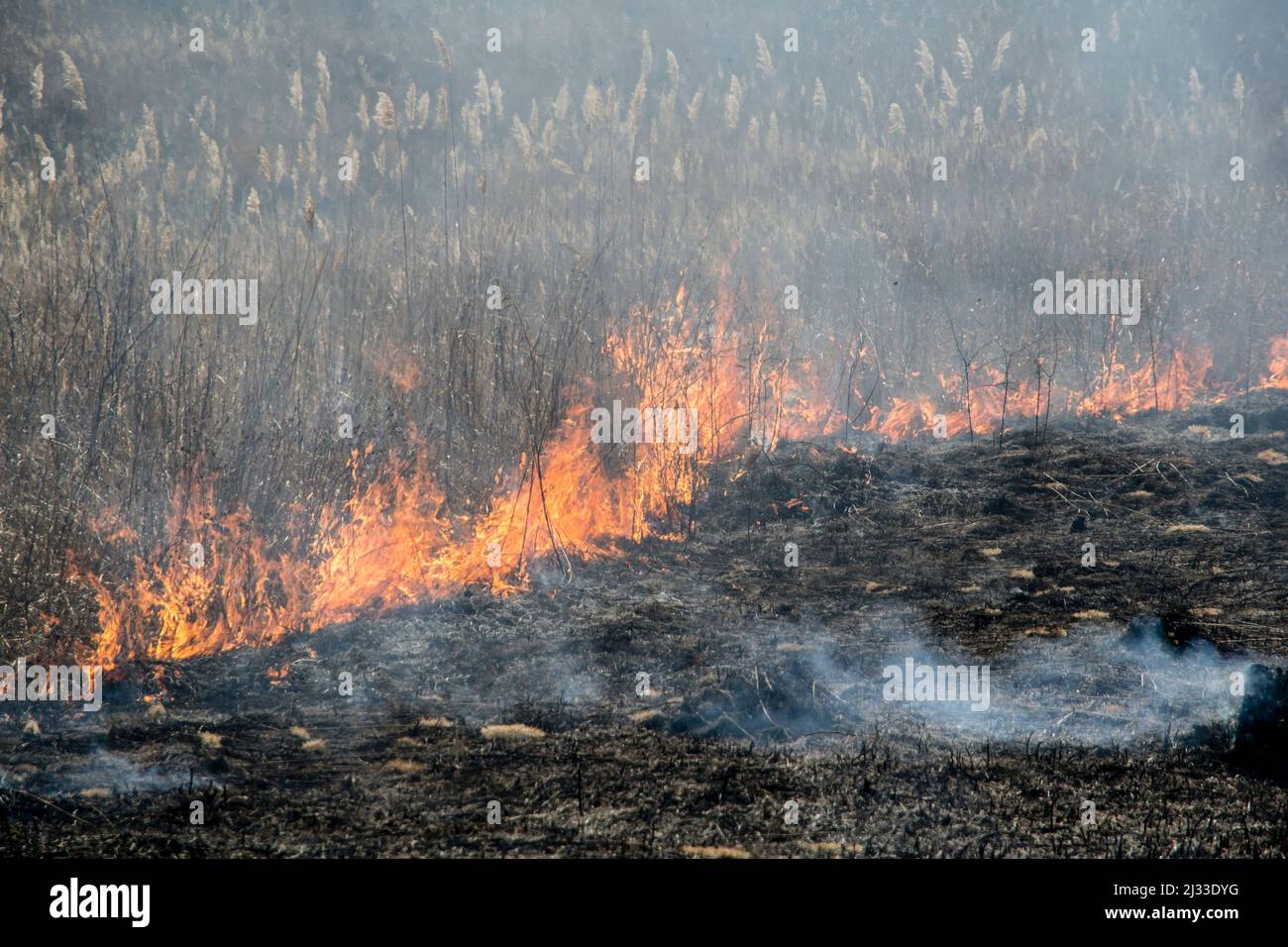 Fire at night, burning the farm at night, smoke rising into the air ...