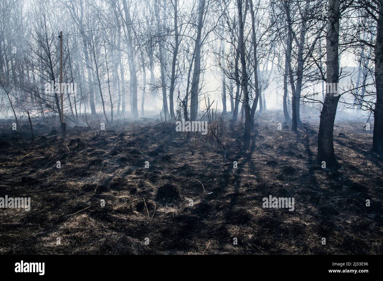 smoky burnt wood at spring Stock Photo - Alamy
