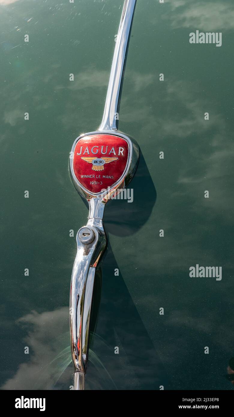 Classic Jaguar boot lid showing Le Mans winning motif Stock Photo - Alamy