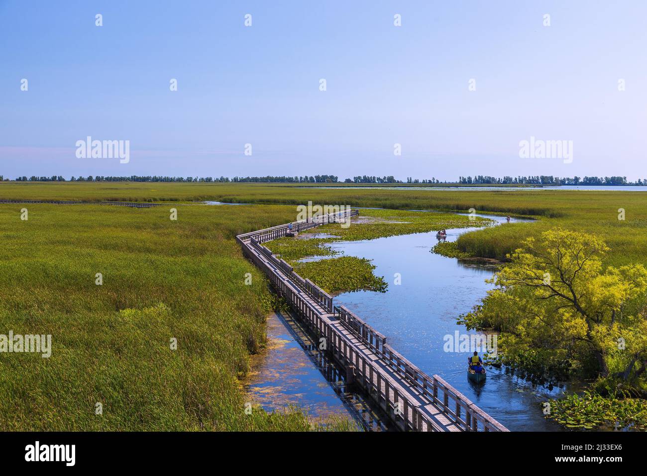 Point Pelee National Park, Marsh Board Walk, canoeists Stock Photo - Alamy