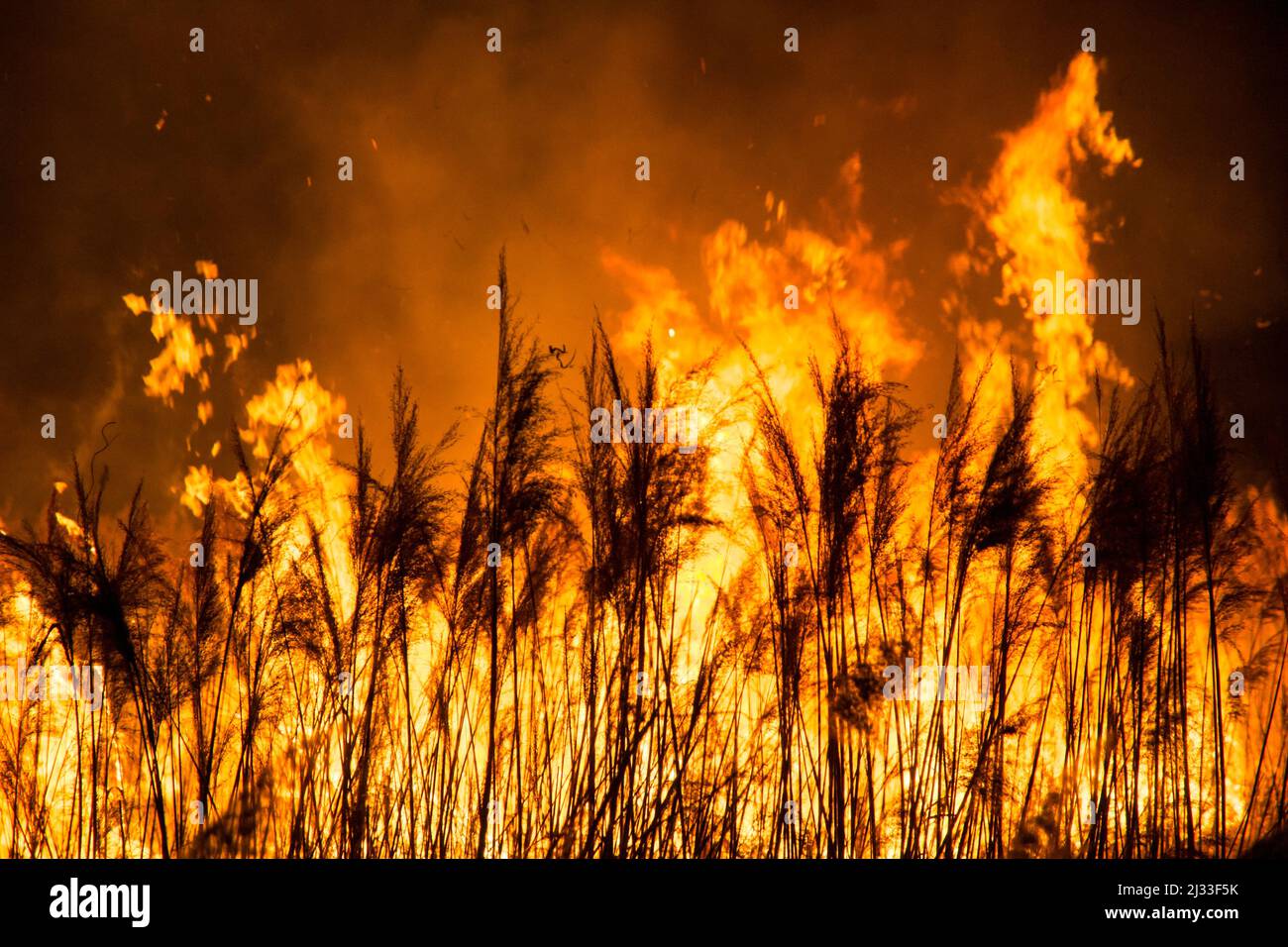 Fire at night, burning the farm at night, smoke rising into the air ...