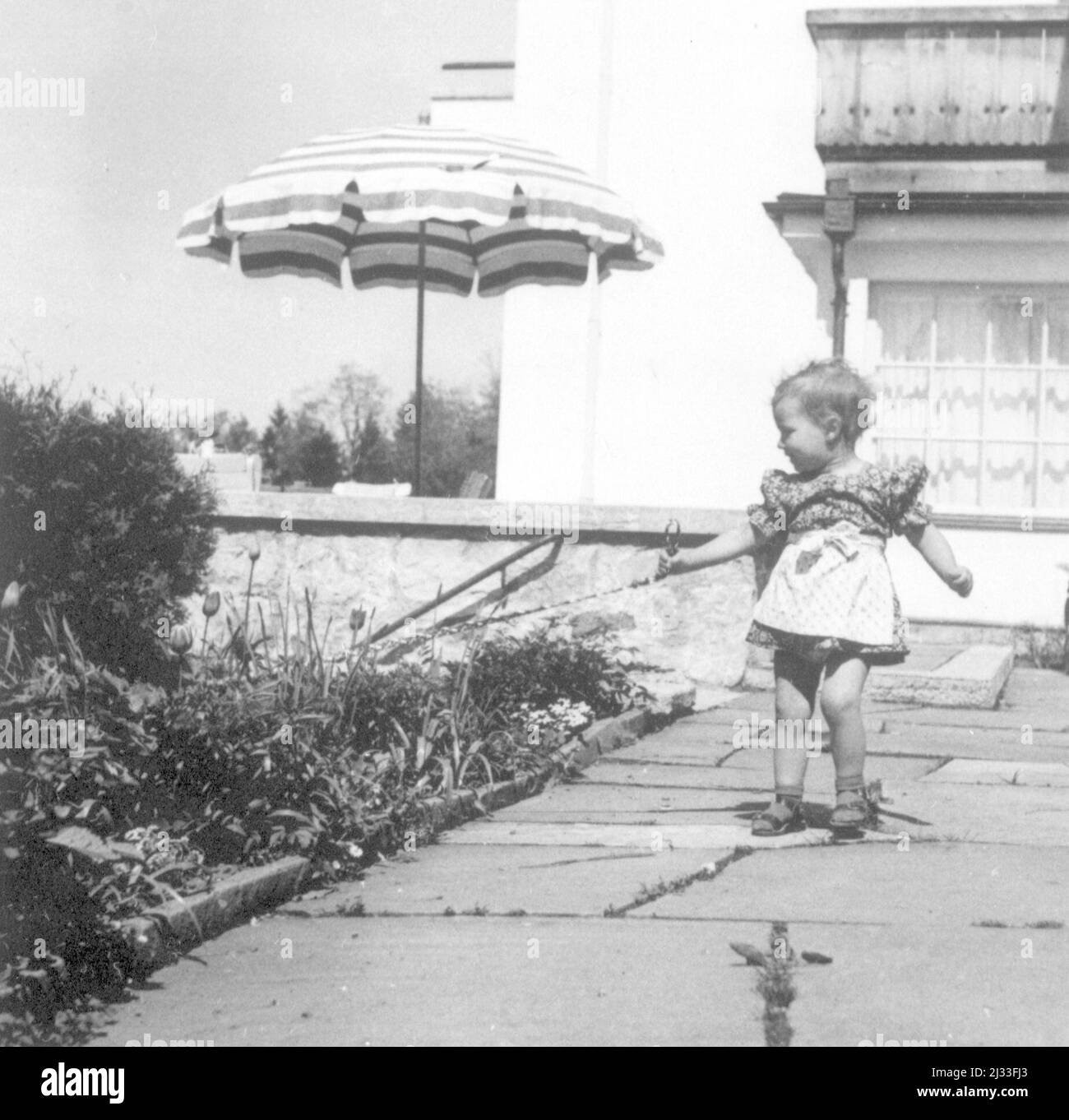 Uschi braun hi-res stock photography and images - Alamy