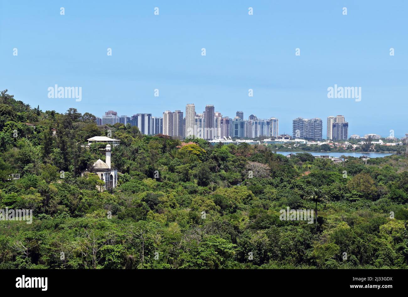 Tijuca forest hi-res stock photography and images - Alamy