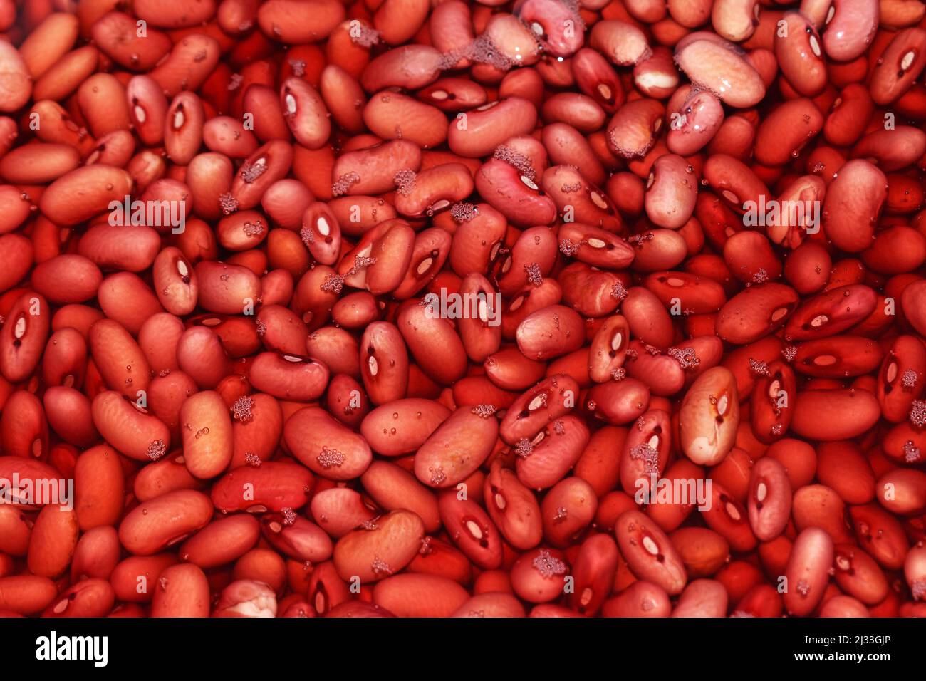 Red beans soaked in water before to be cooked Stock Photo - Alamy