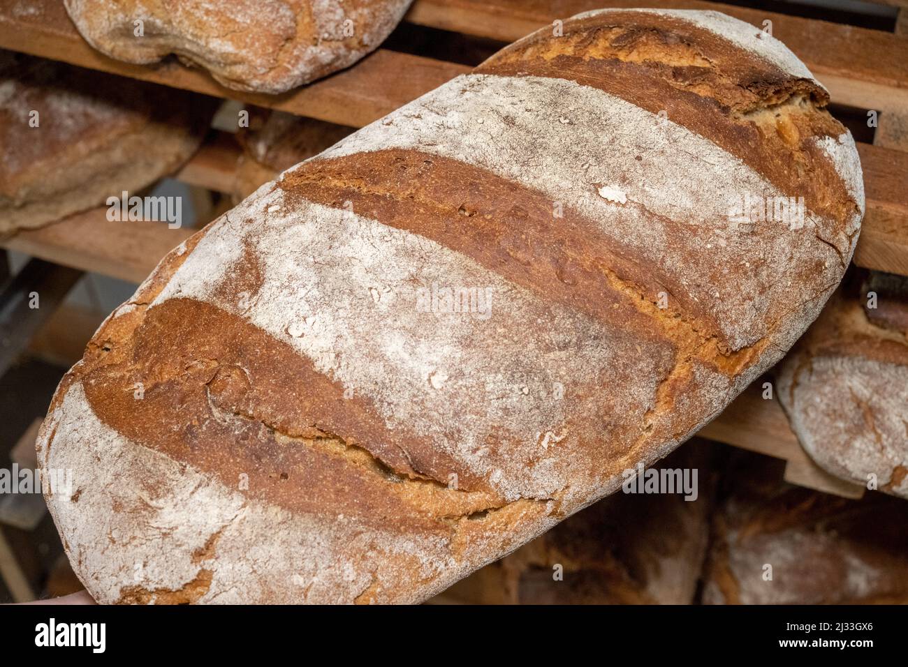 Stralsund, Germany. 05th Apr, 2022. A loaf of fine rye bread is on ...