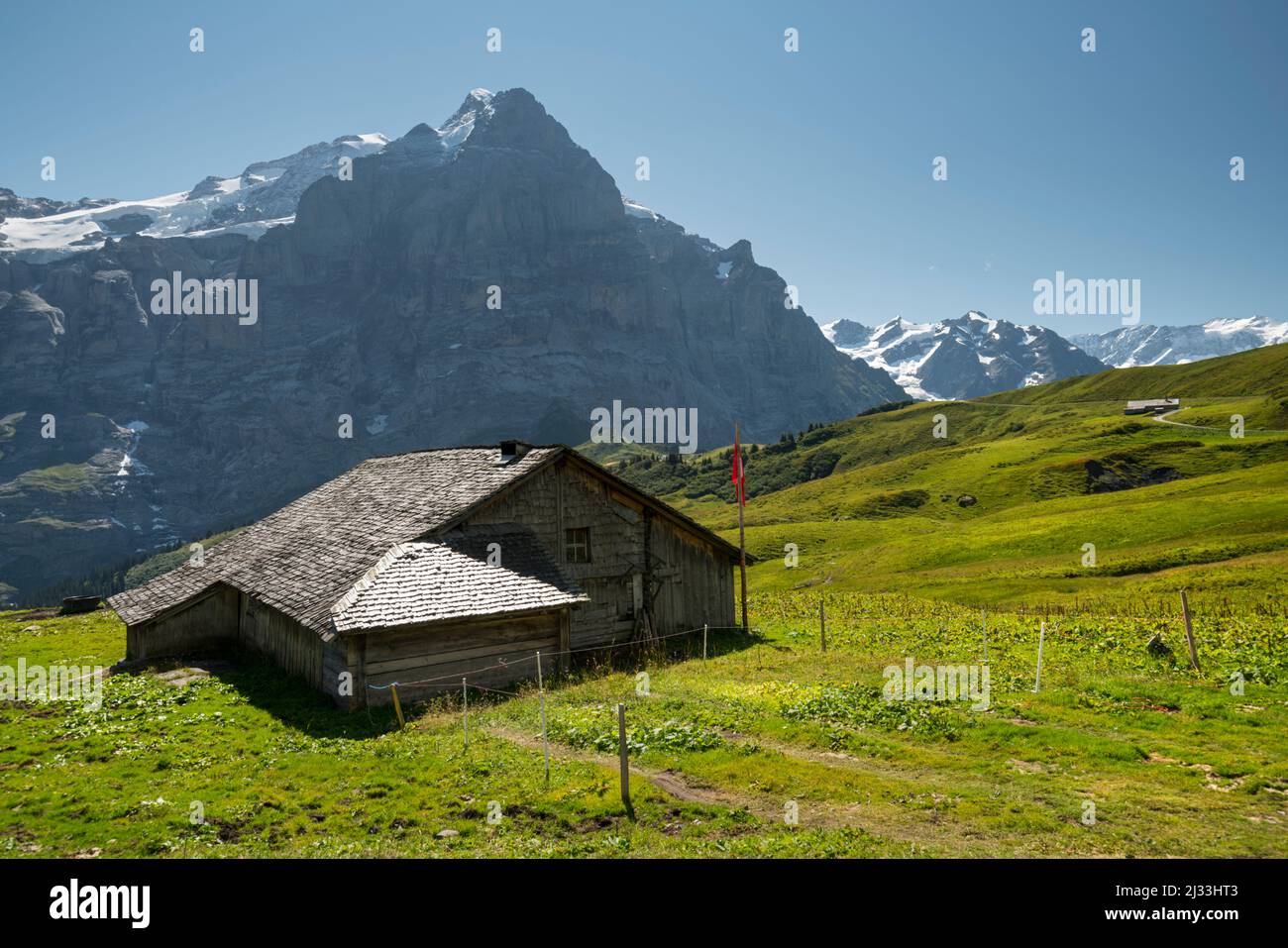 Grindel hi-res stock photography and images - Alamy