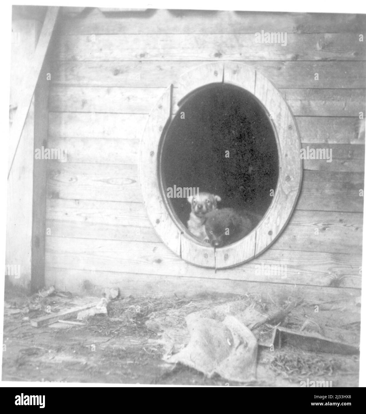 Paula hitler Cut Out Stock Images & Pictures - Alamy