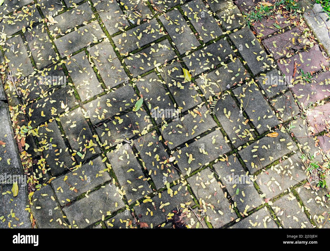 Brick flooring hi-res stock photography and images - Alamy