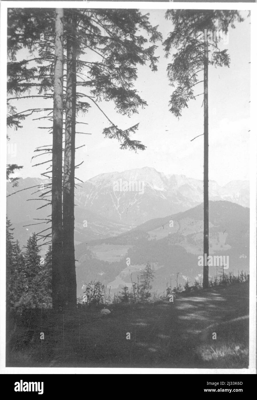 Eva Braun's Photo Albums, ca. 1913 - ca. 1944. These albums are ...