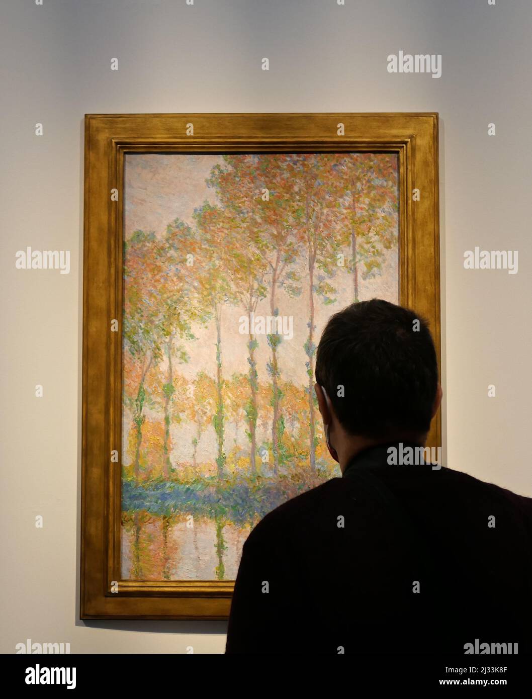 MASTERWORKS BY MONET AND ROTHKO , HIGHLIGHTS FROM THE COLLECTION OF ...