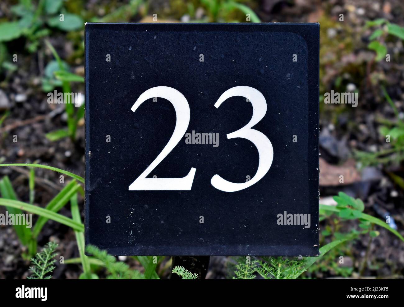 Number plate style hi-res stock photography and images - Alamy