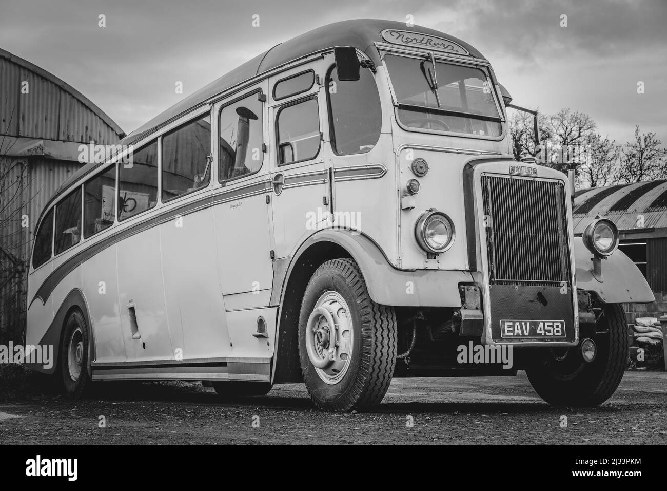 Monochrome close up of 512 Leyland Tiger PS1 (1948) vintage bus, coach ...