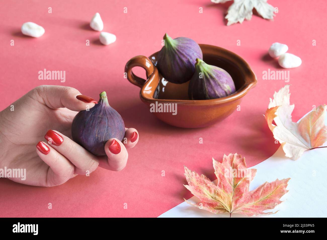 Autumn colors. Purple, magenta fig fruits in terracotta bowl in hand ...