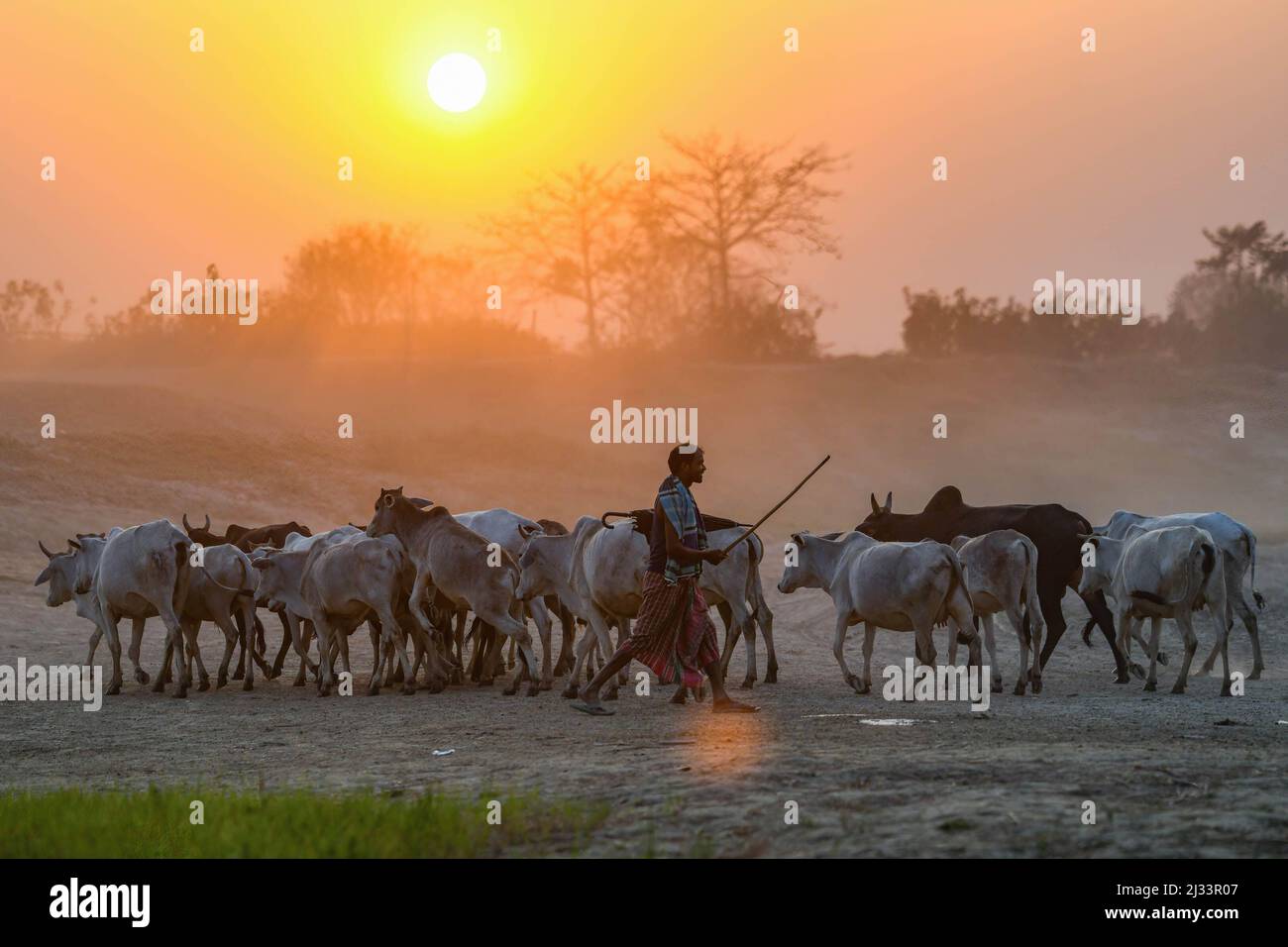 Kushtia district hi-res stock photography and images - Alamy