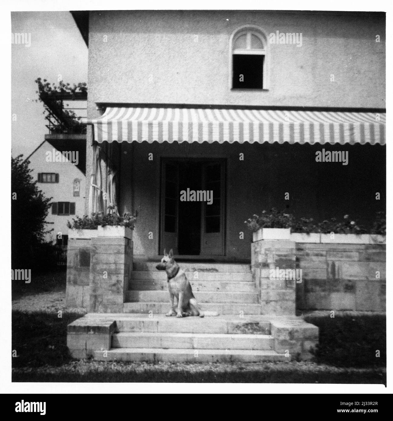 Eva Braun's Photo Albums, ca. 1913 - ca. 1944. These albums are ...