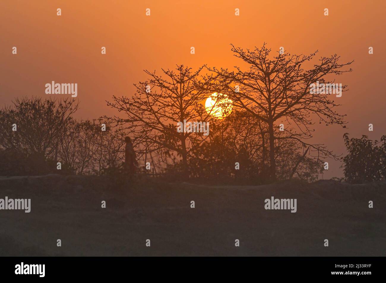 Kushtia district hi-res stock photography and images - Alamy
