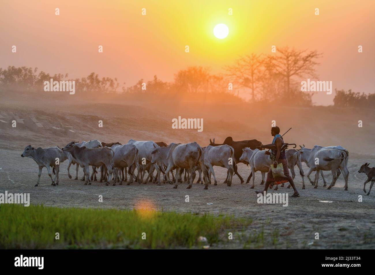 Kushtia district hi-res stock photography and images - Alamy