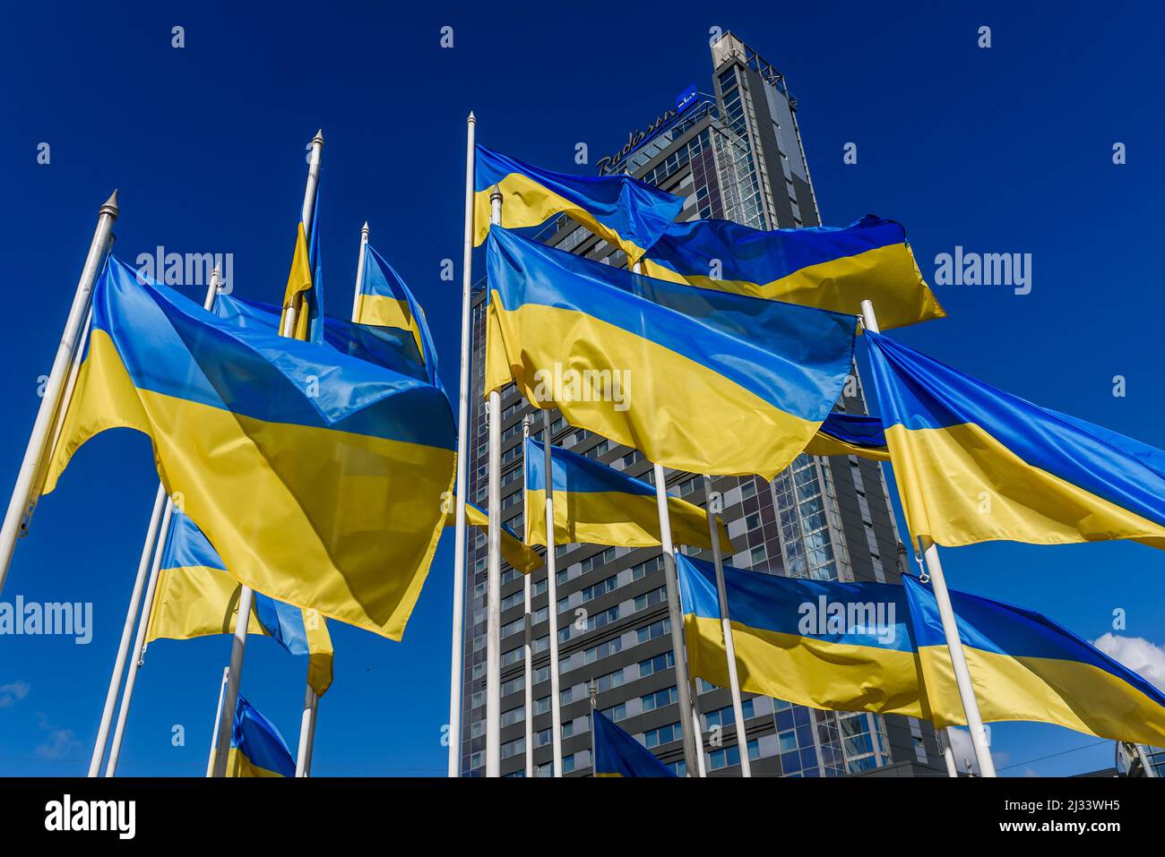 Flags of ukraine in riga city hi-res stock photography and images - Alamy