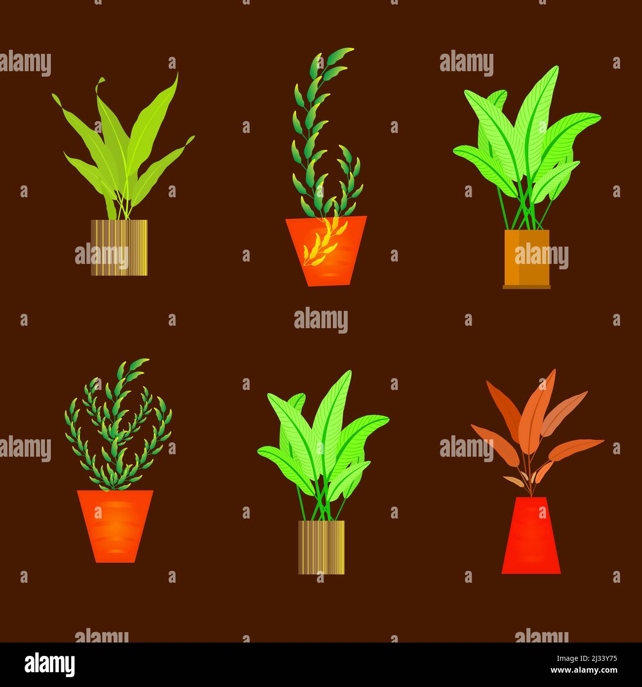 Ornamental succulent Stock Vector Images - Alamy