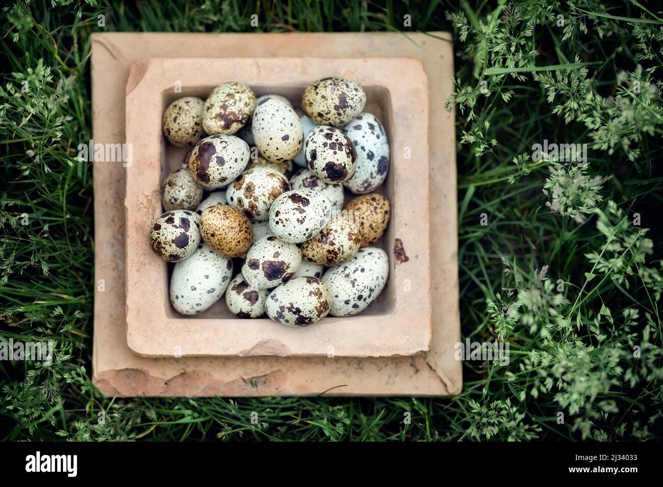 Square eggs hi-res stock photography and images - Alamy