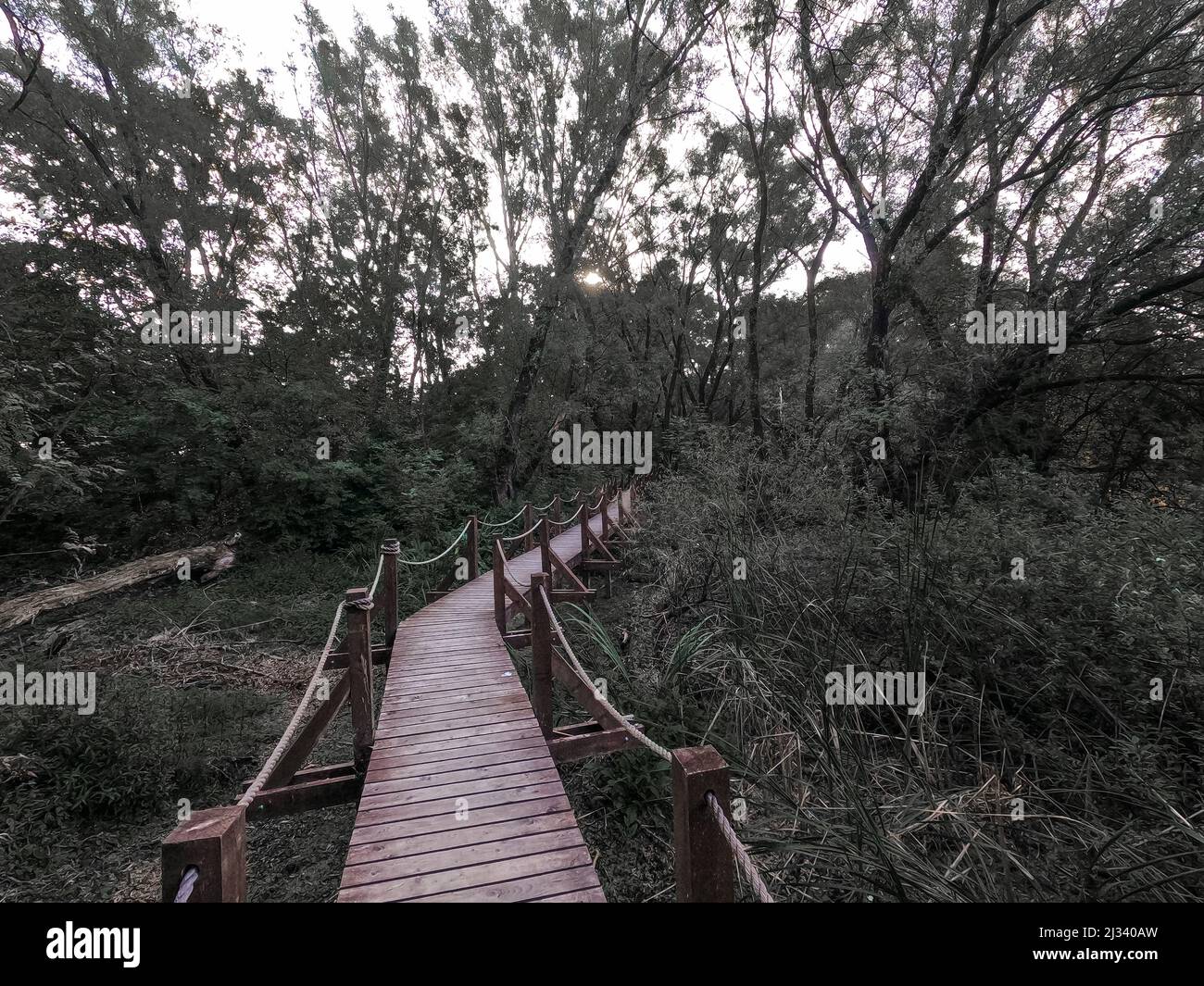 Oborin hi-res stock photography and images - Alamy