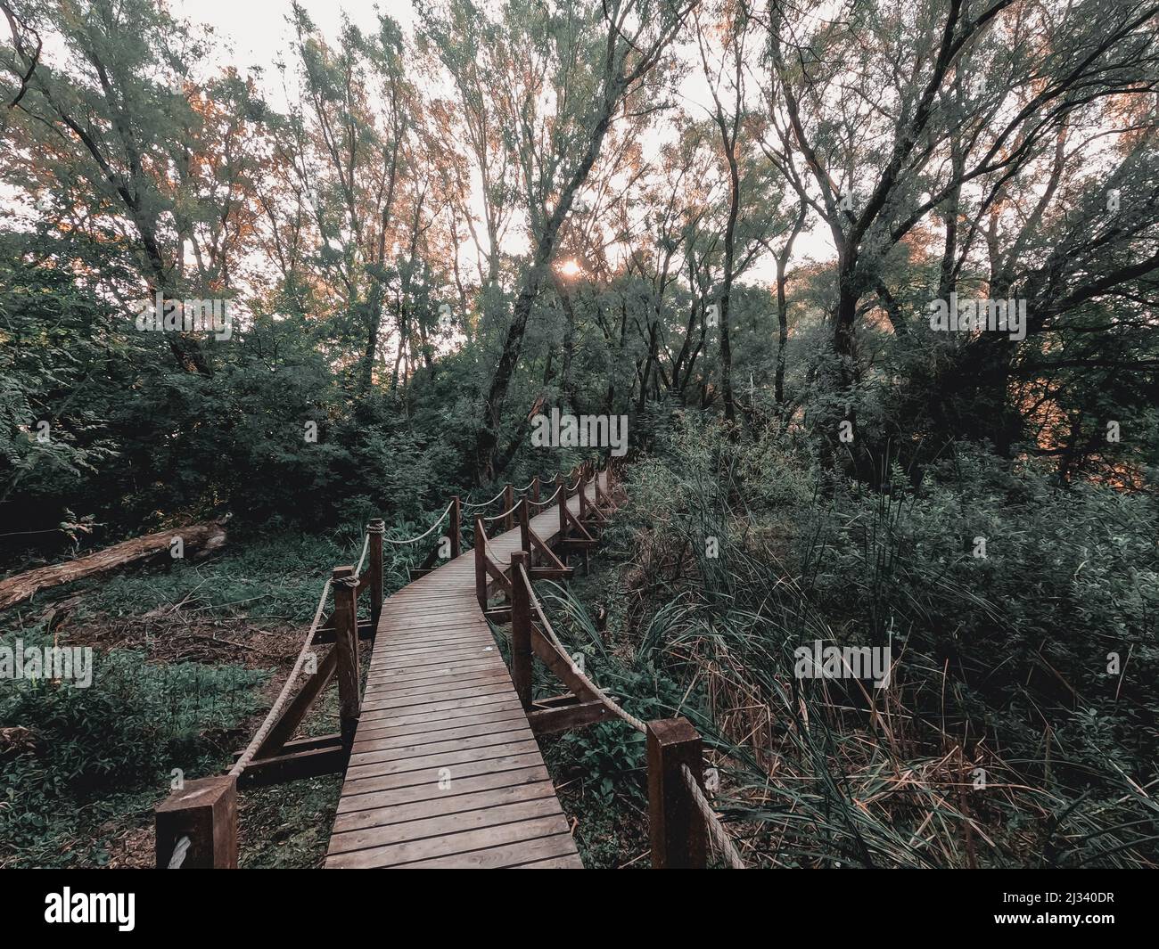 Oborin hi-res stock photography and images - Alamy