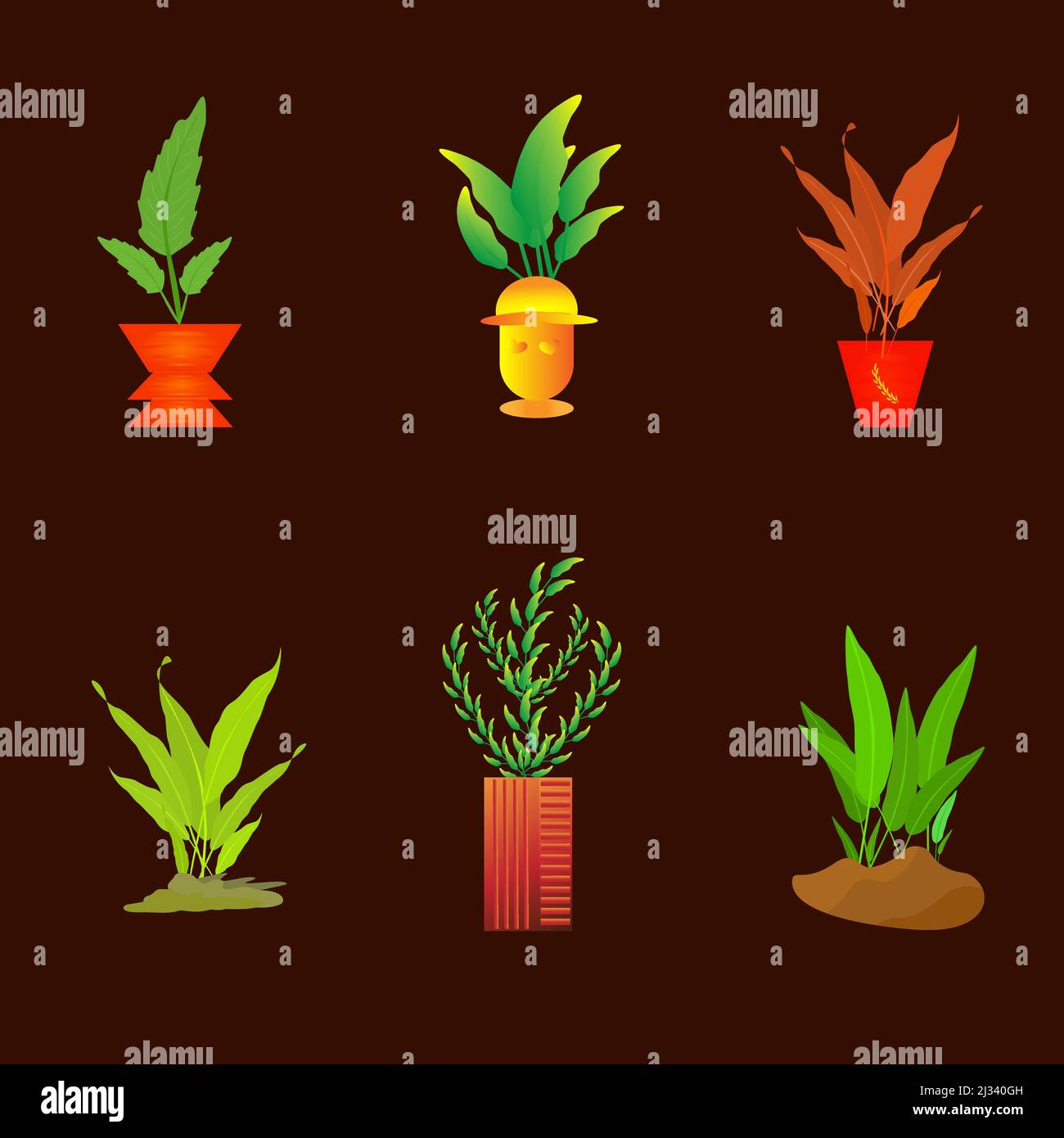 Houseplant nature flower for decorative abstract background art graphic ...