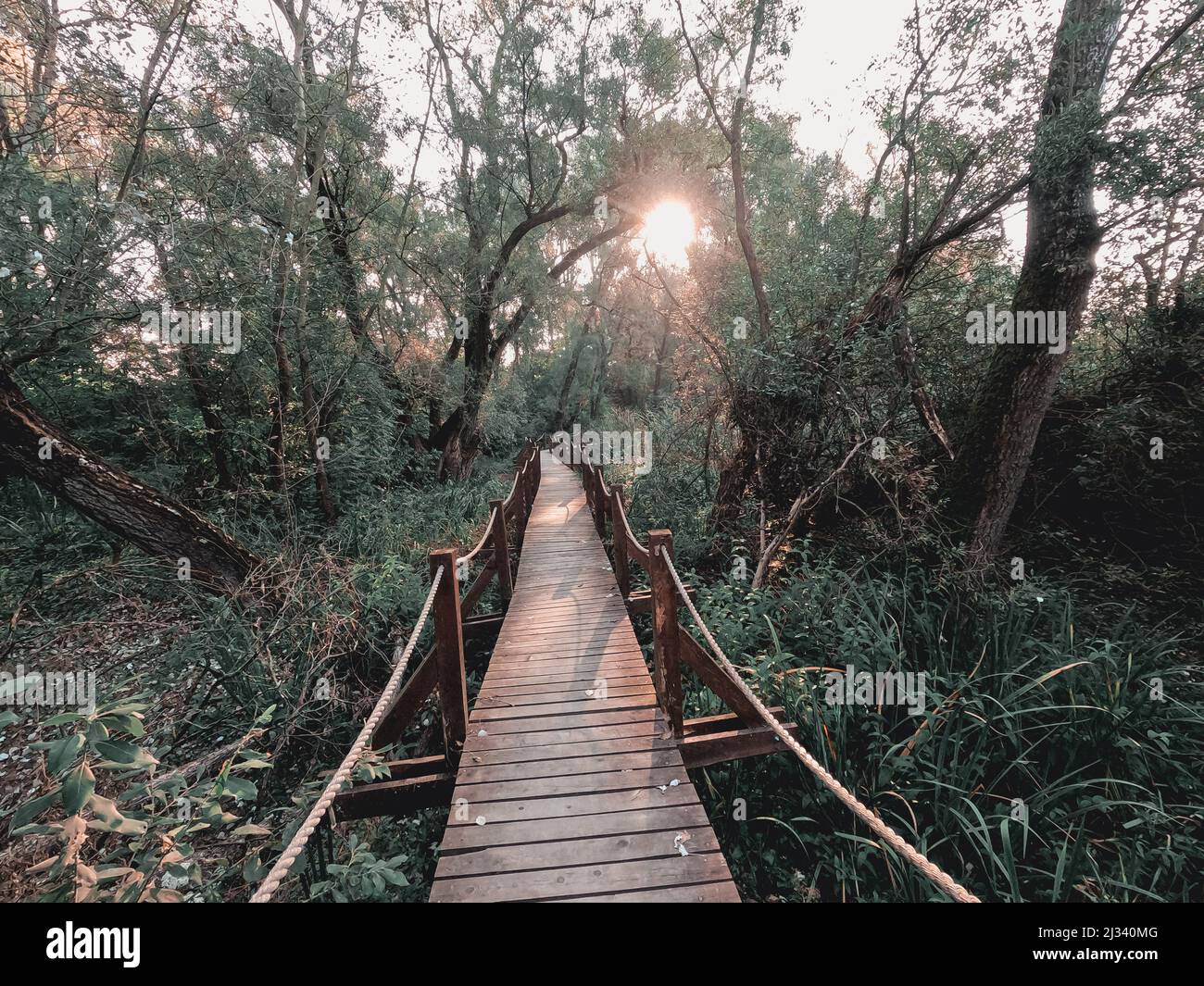 Oborin hi-res stock photography and images - Alamy