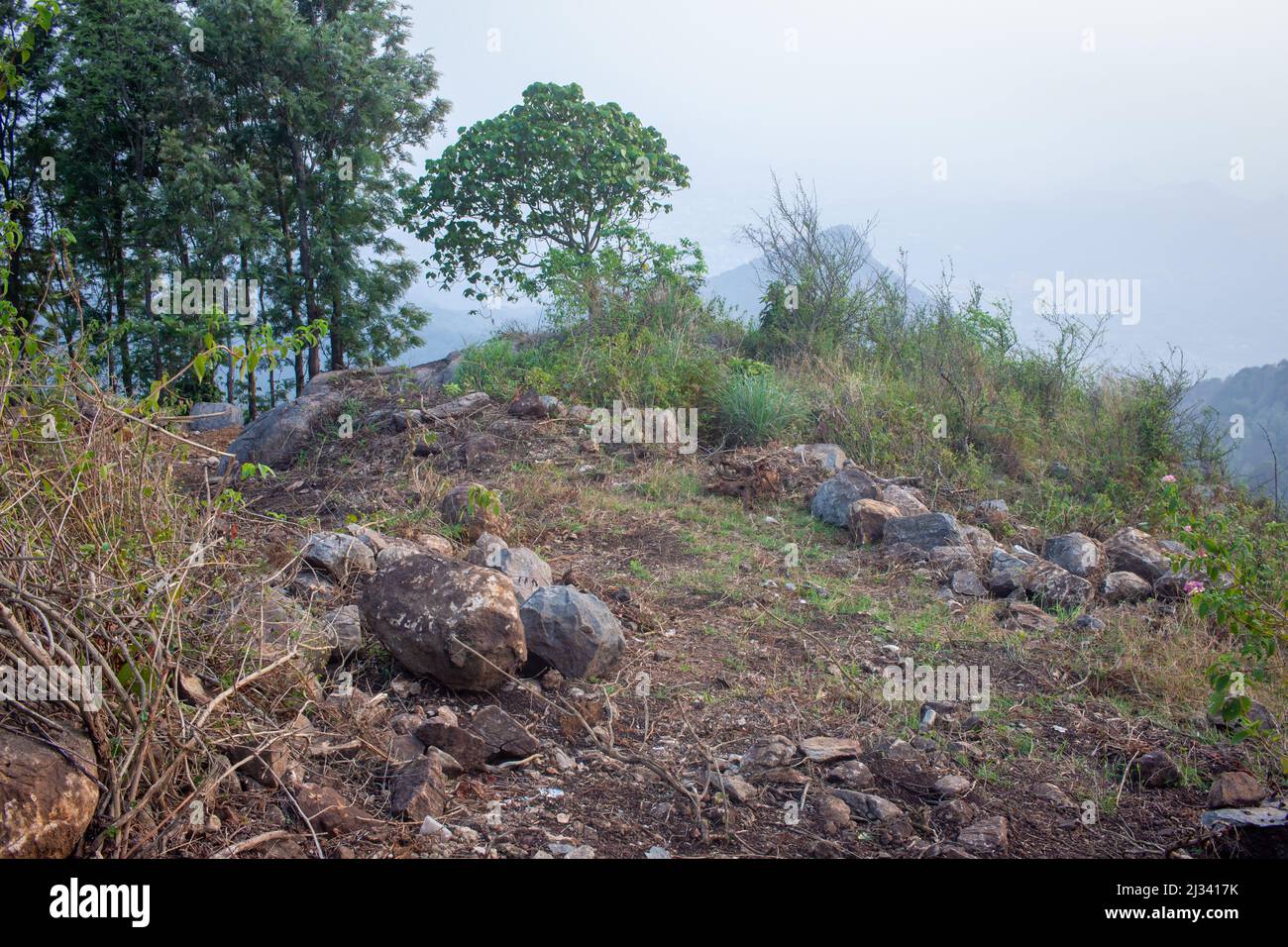 Trees and rocks along terrain area in Shevaroy Hills, Yercaud, India ...