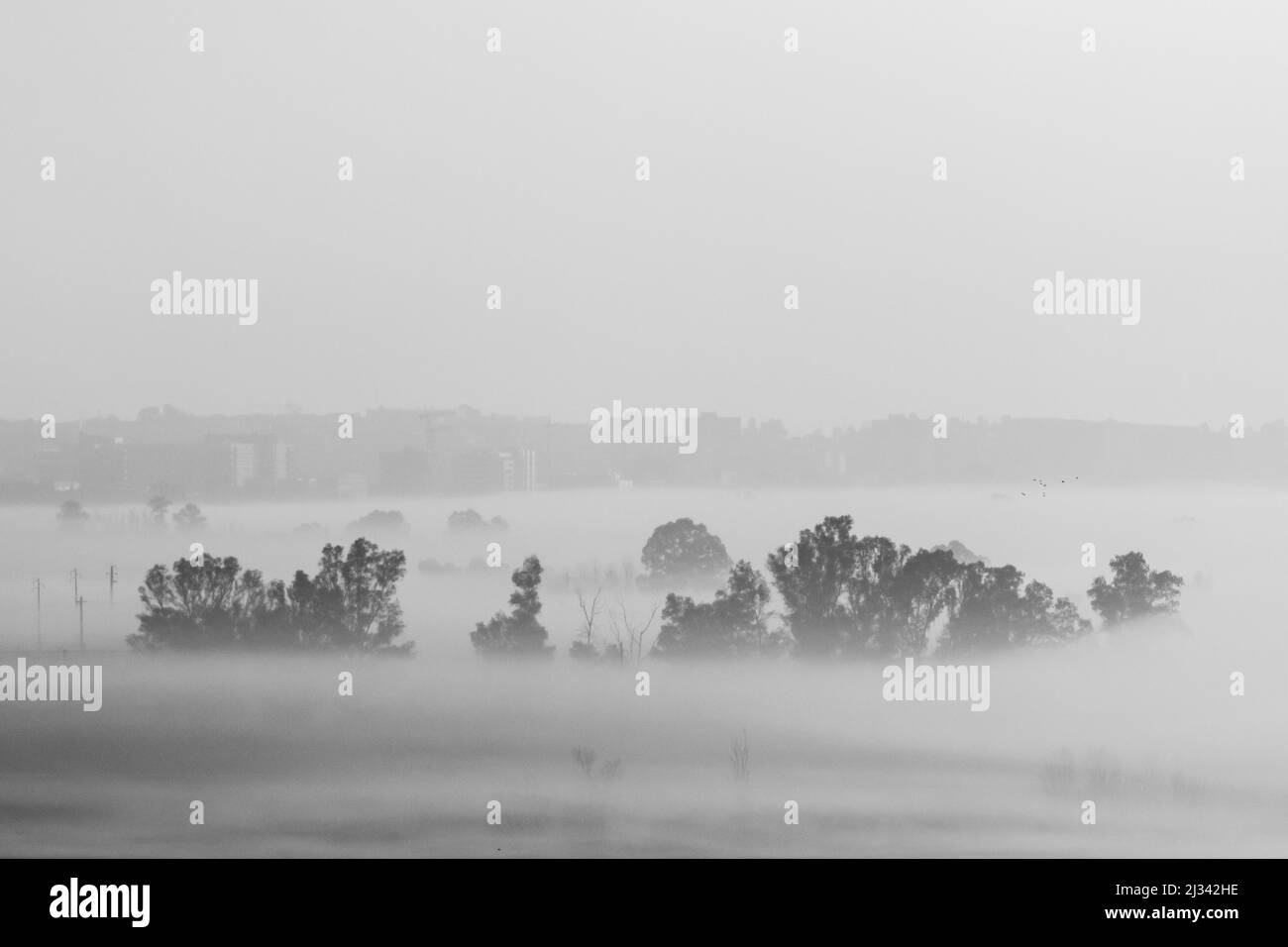Thick fog background Black and White Stock Photos & Images - Alamy