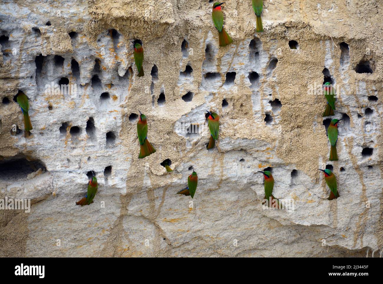 Uganda; Northern Region on the border with the Western Region ...