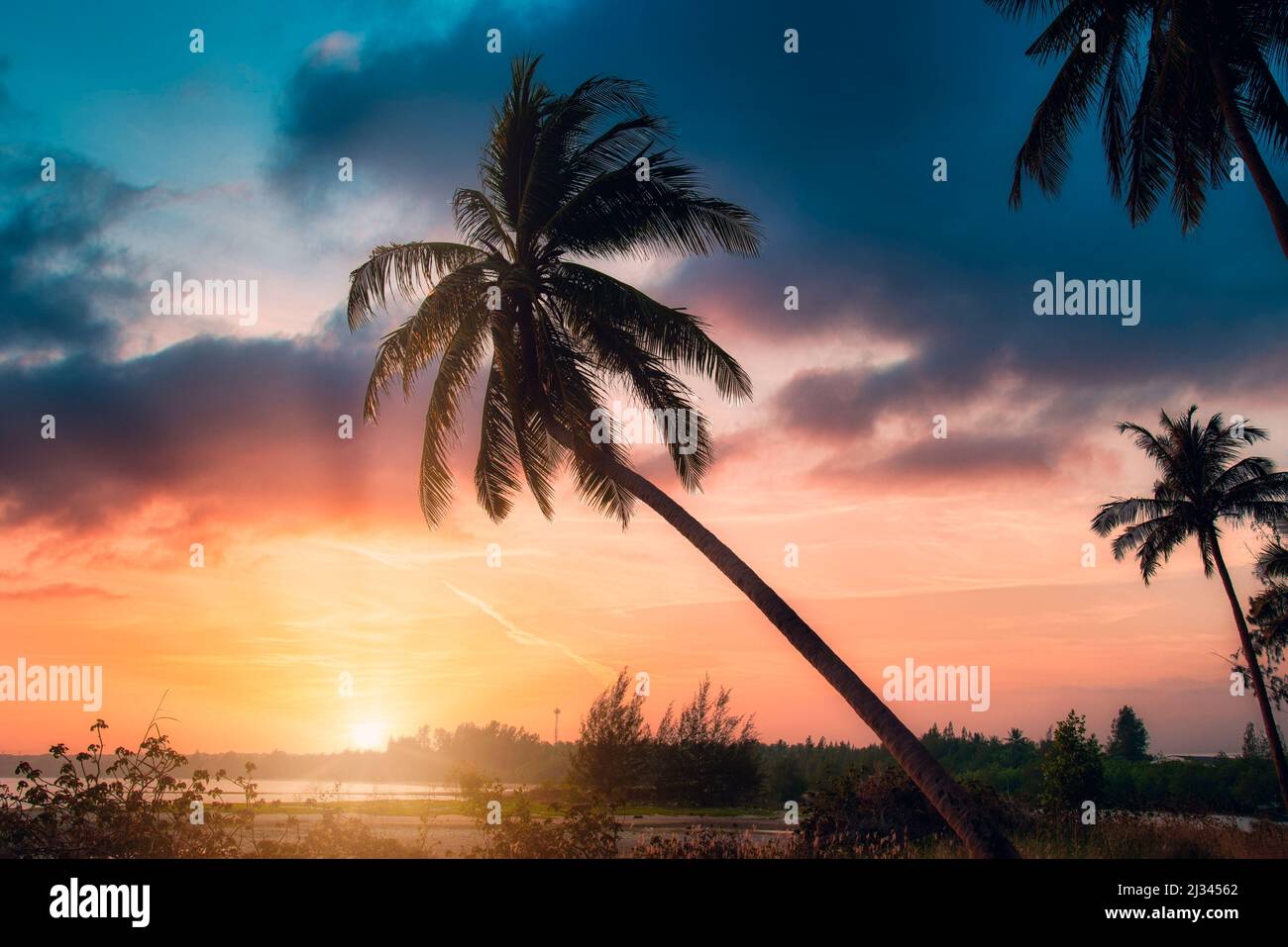 Silhouette coconut palm trees on beach at sunset. Vintage tone Stock ...