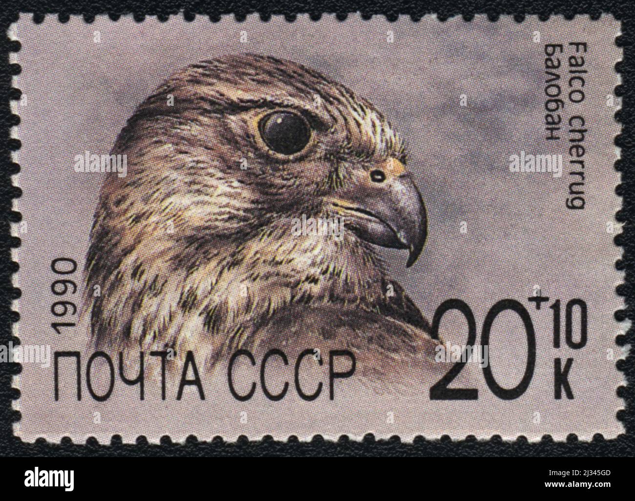 Mark falco hi-res stock photography and images - Alamy