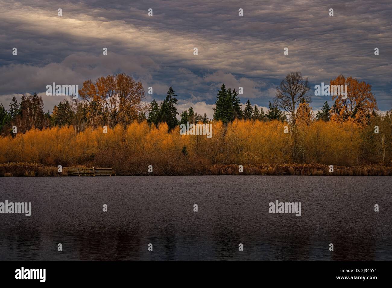 A beautiful shot of shoreline on a lake in the Pacific Northwest at ...