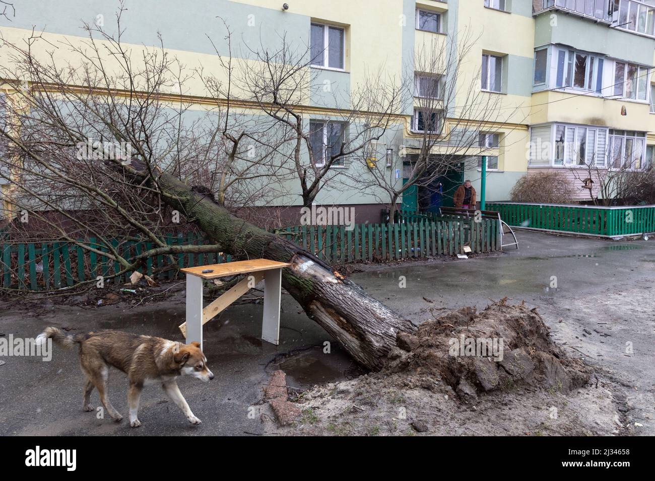 BUCHA, UKRAINE - Apr. 03, 2022: Chaos and devastation on the streets of ...