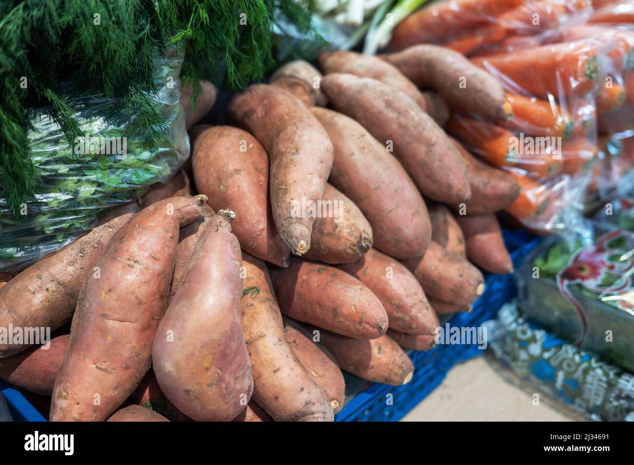 Assortment of fresh sweet potatoes at market Stock Photo - Alamy
