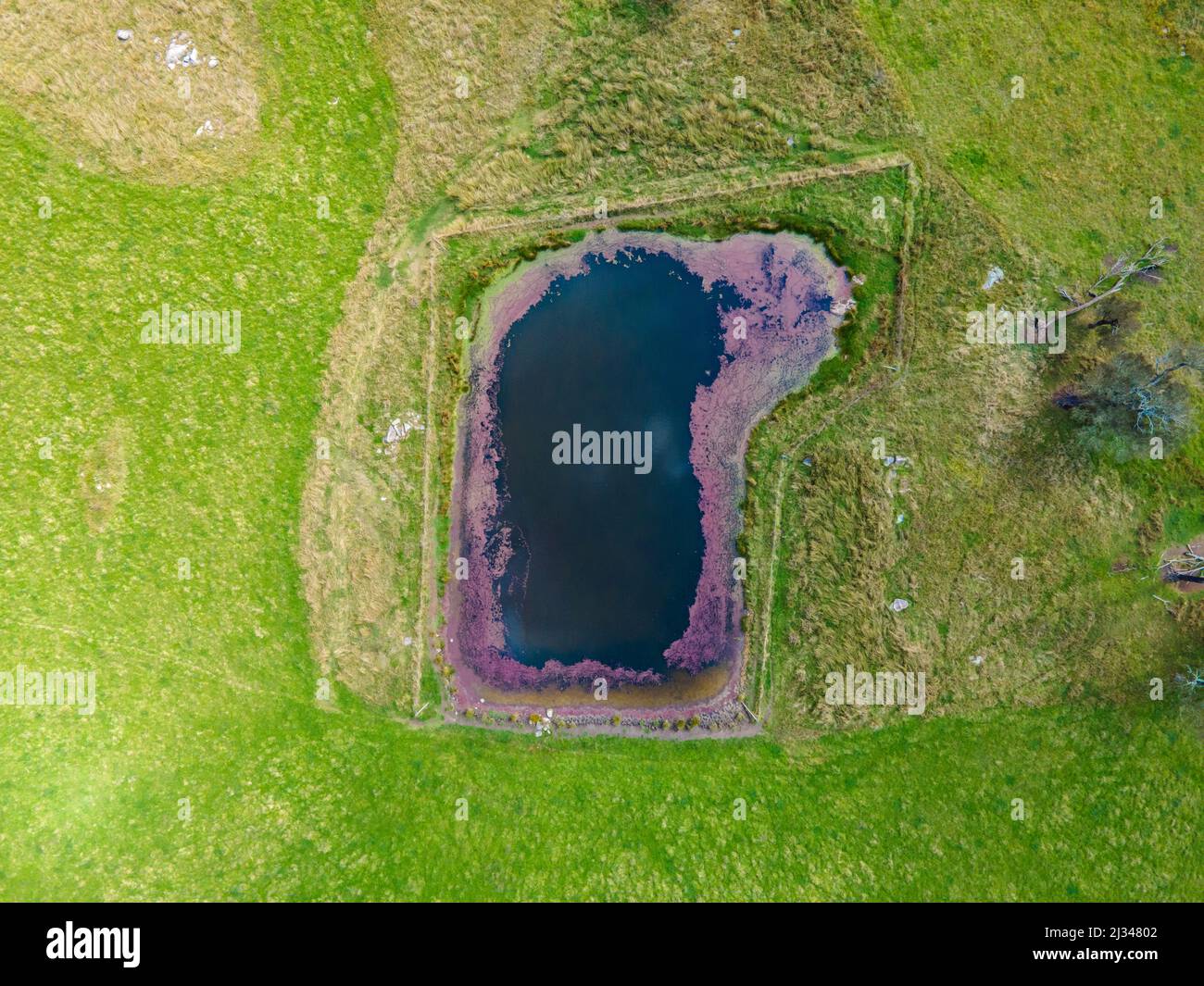 Vale pond hi-res stock photography and images - Alamy