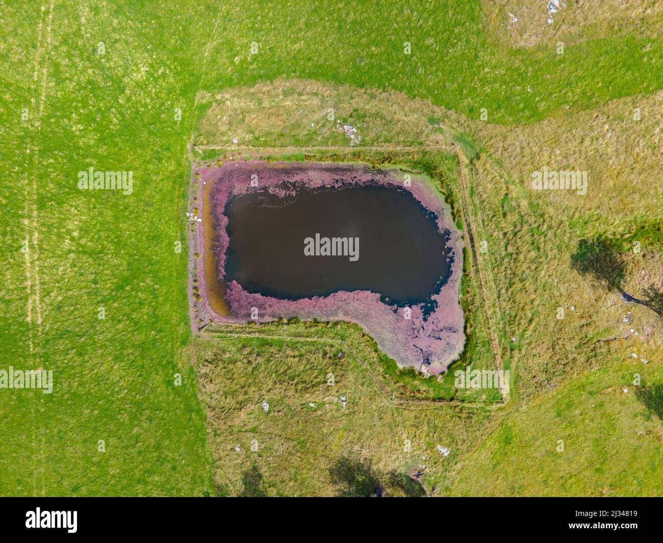 An aerial view of a pond in Wellington Vale, New South Wales, Australia ...
