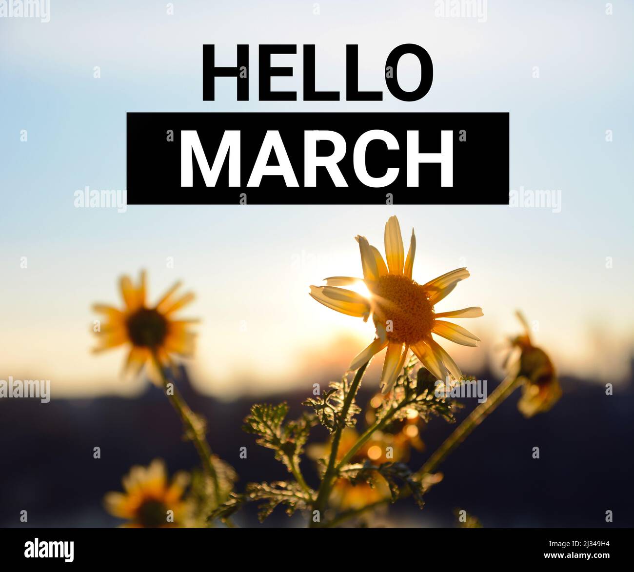 Hello March inspirational and motivating writing on the sun and yellow ...
