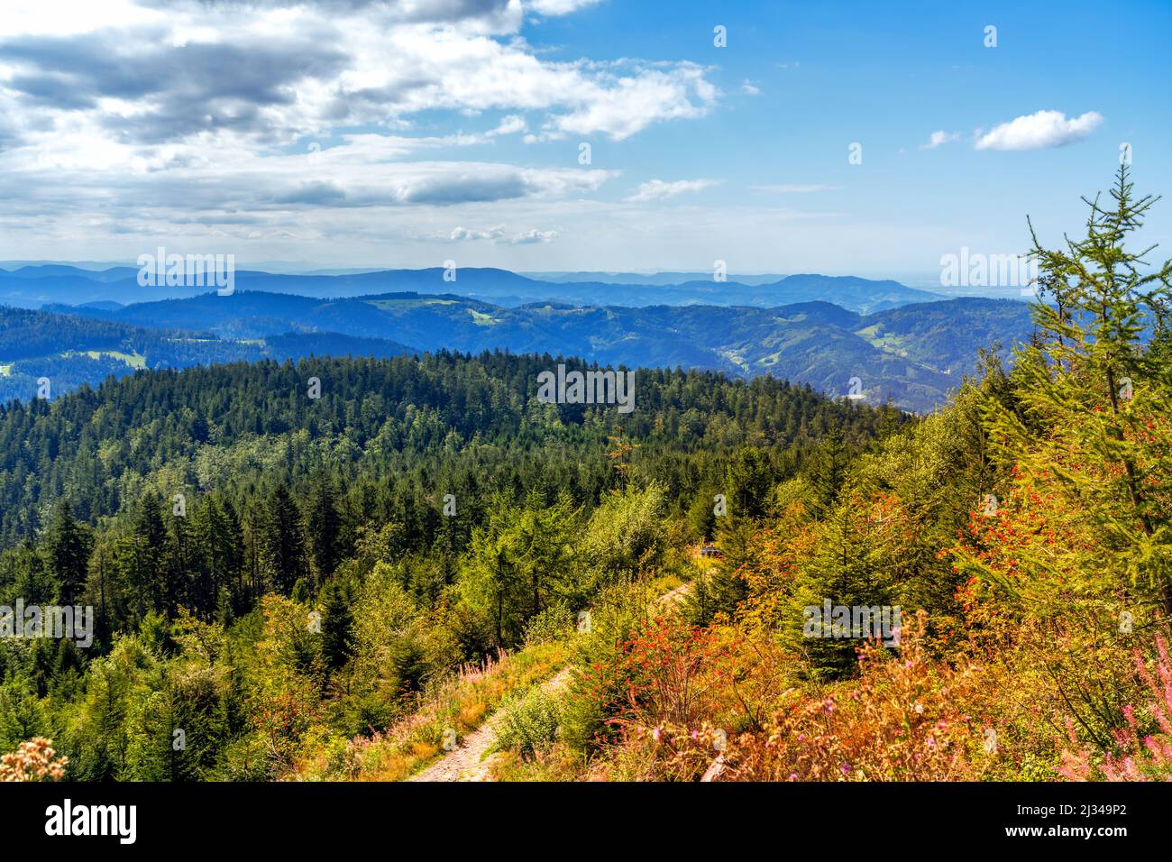 View over Black Forest near Seebach, Germany Stock Photo - Alamy