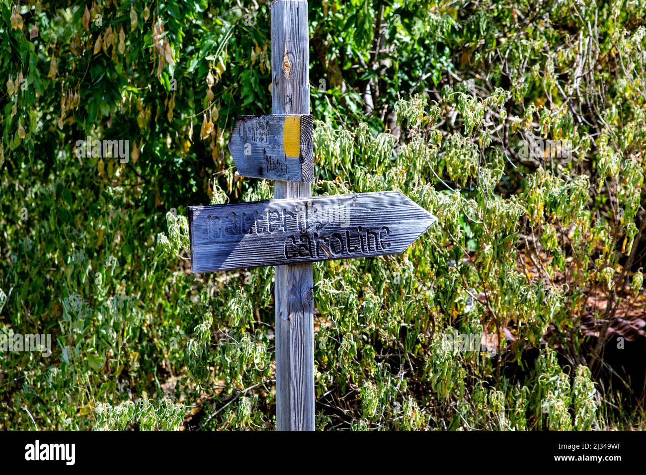 Signpost, Morne Morel hiking trail, Terre-de-Haut, Iles des Saintes ...