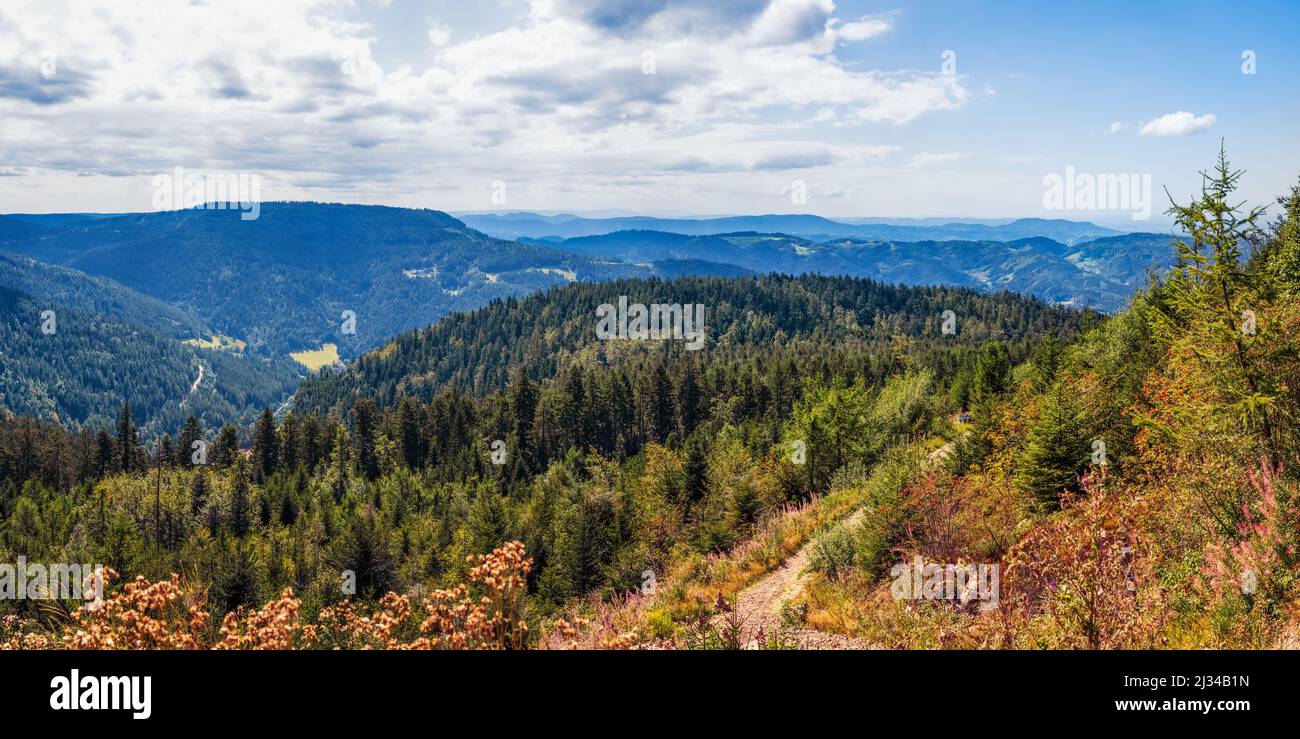 View over Black Forest near Seebach, Germany Stock Photo - Alamy