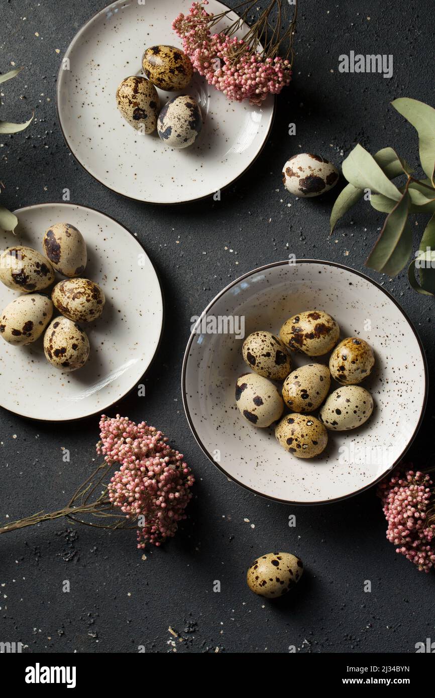 Quail eggs in speckled plates on a gray background with beautiful pink ...