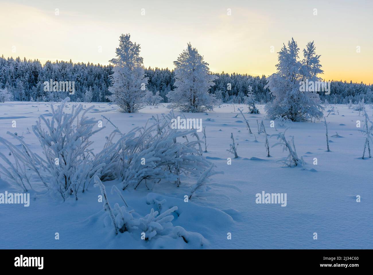 Landscape near Levi, Finland Stock Photo - Alamy