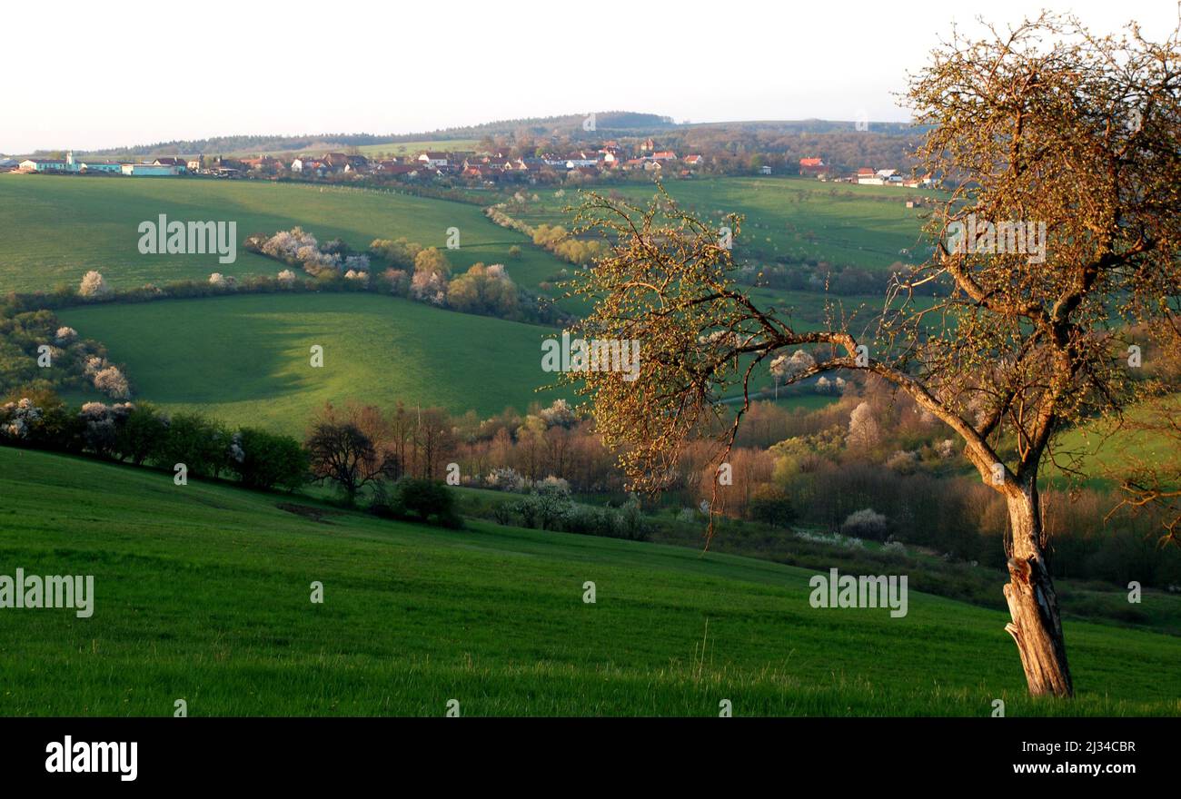 A beautiful landscape of village surrounded by greenery fields behind ...