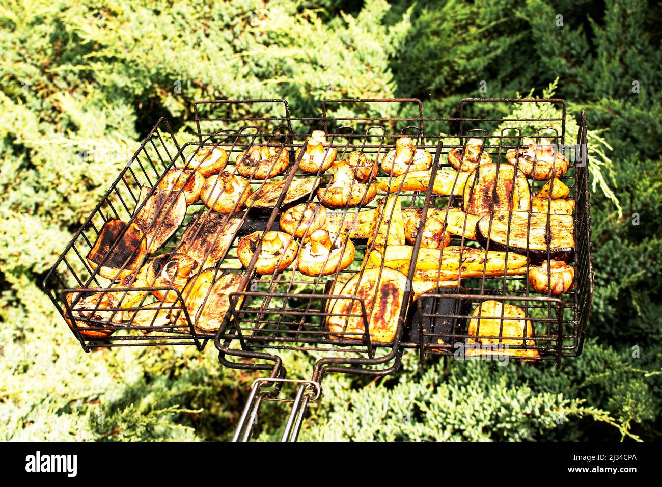 Grilled vegetables. Grill on a picnic. Food on an open fire. Zucchini ...