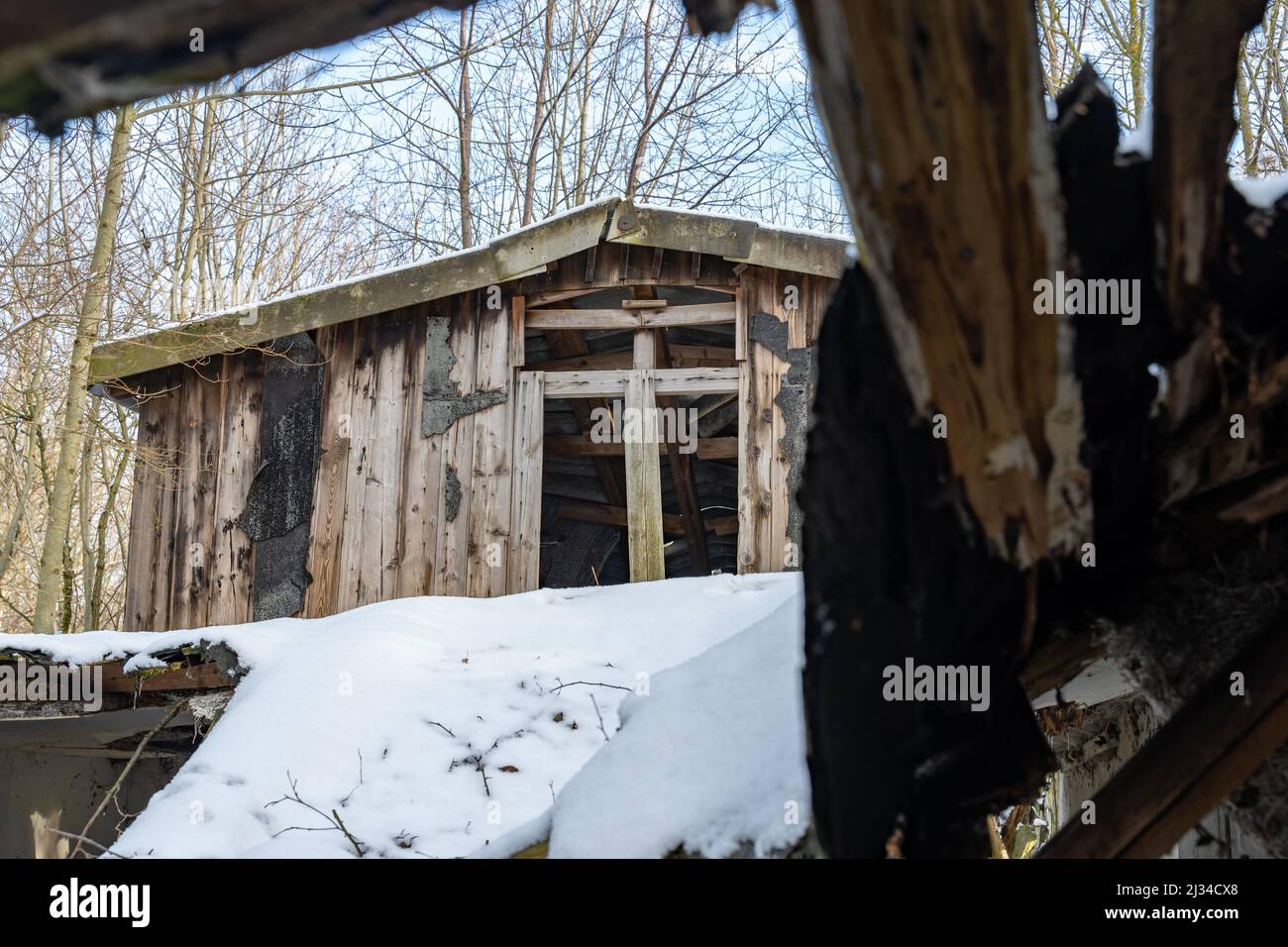 Old wooden cabin in the woodlands is an abandoned building in very bad ...
